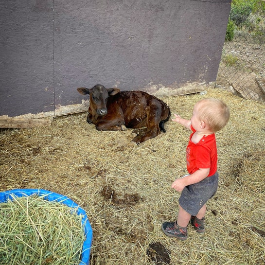 HalfassRanchDesign - Etsy