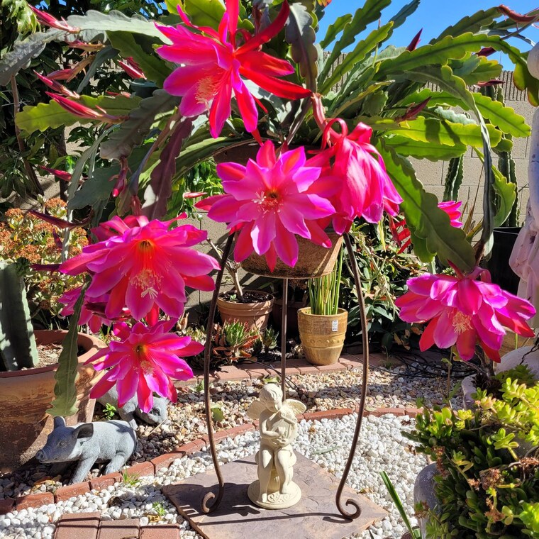 R4ArtCreations - Etsy