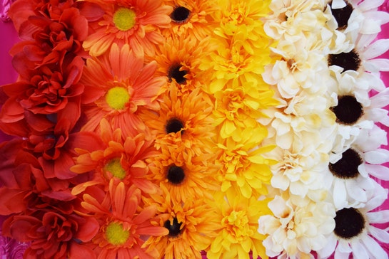 RadioactiveFlamingo - Etsy