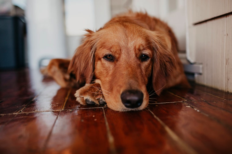 charlieandpinesigns - Etsy