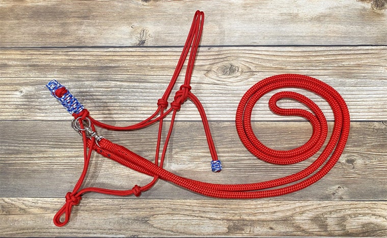 CounterCanterDesigns - Etsy