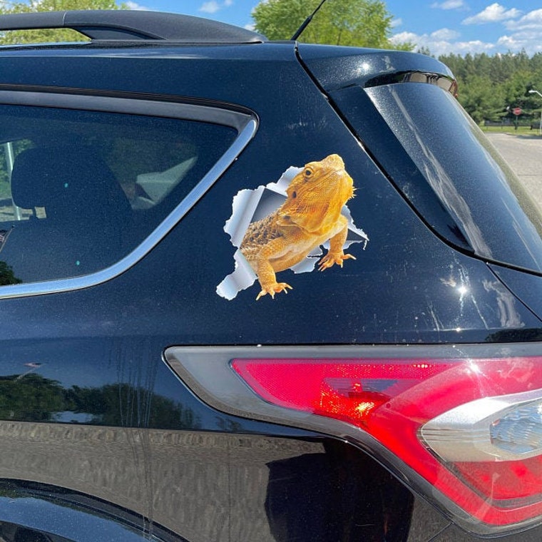 StickerstoDrive - Etsy