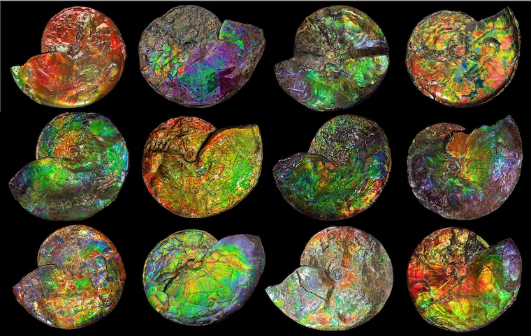 CalgaryRocks - Etsy Canada