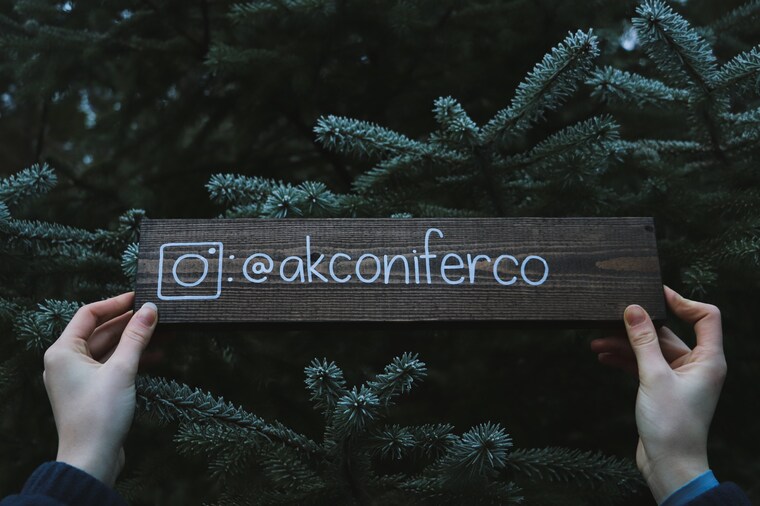 ConiferCompany - Etsy