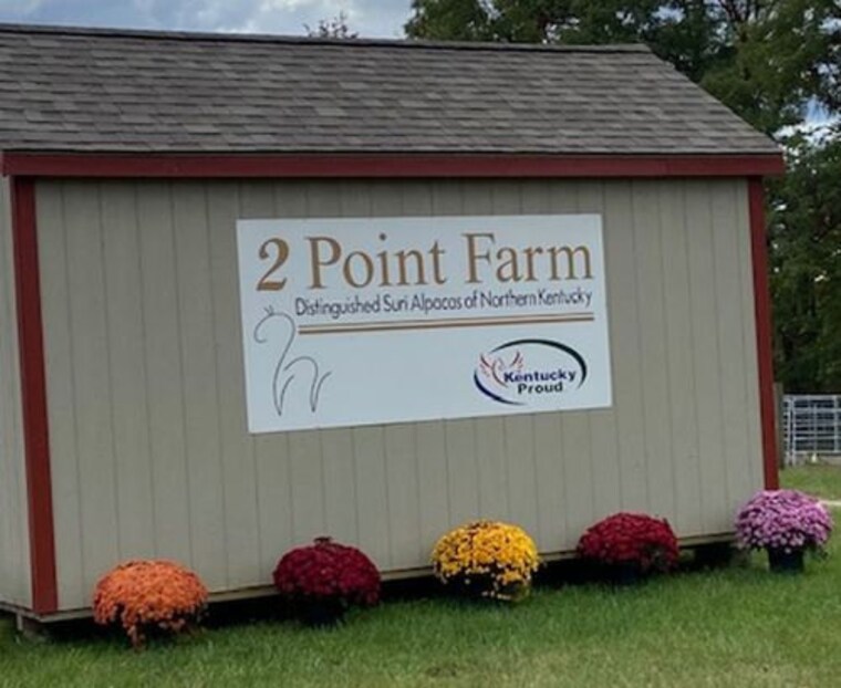2PointFarmAlpacas - Etsy