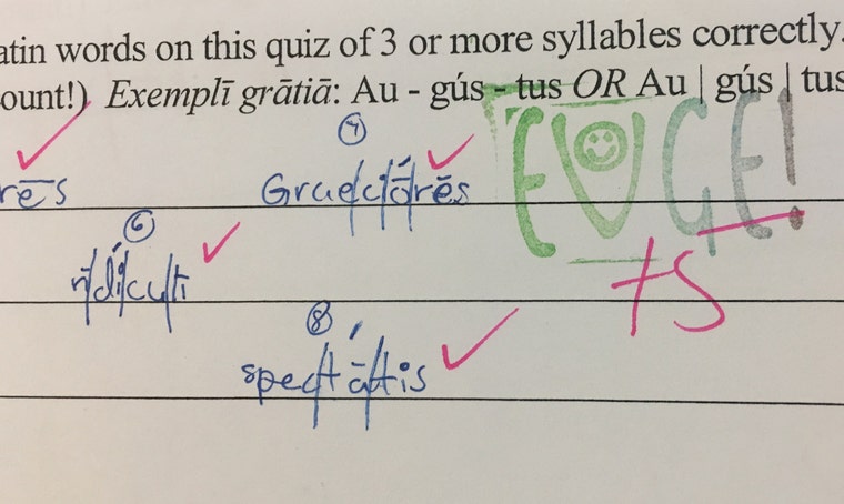 LatinClassroomStamps - Etsy