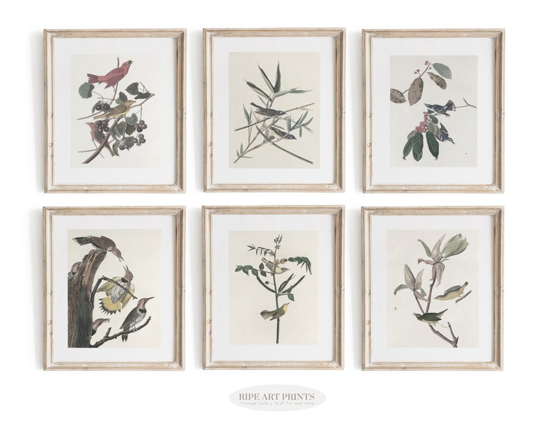 RipeArtPrints - Etsy