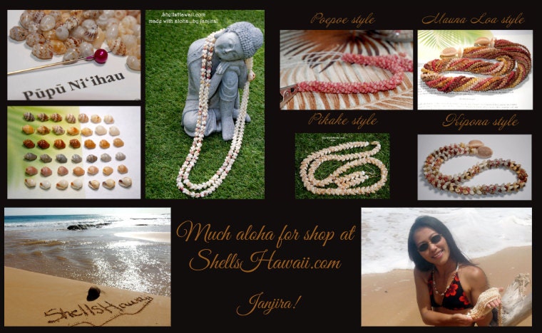 ShellsHawaii - Etsy