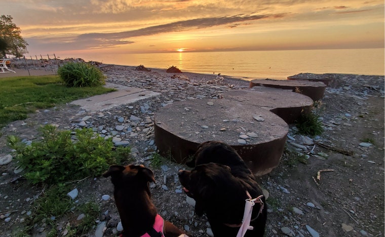 KCLaneDesigns - Etsy