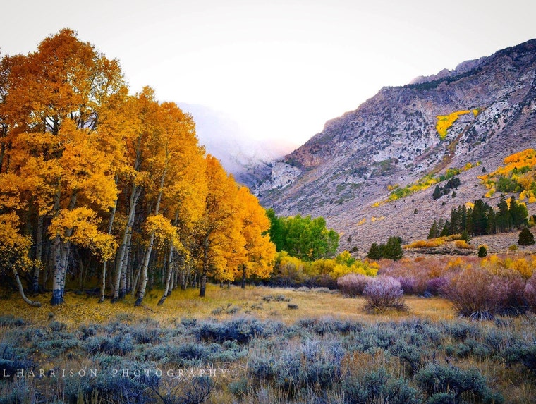 HighSierraDesign - Etsy