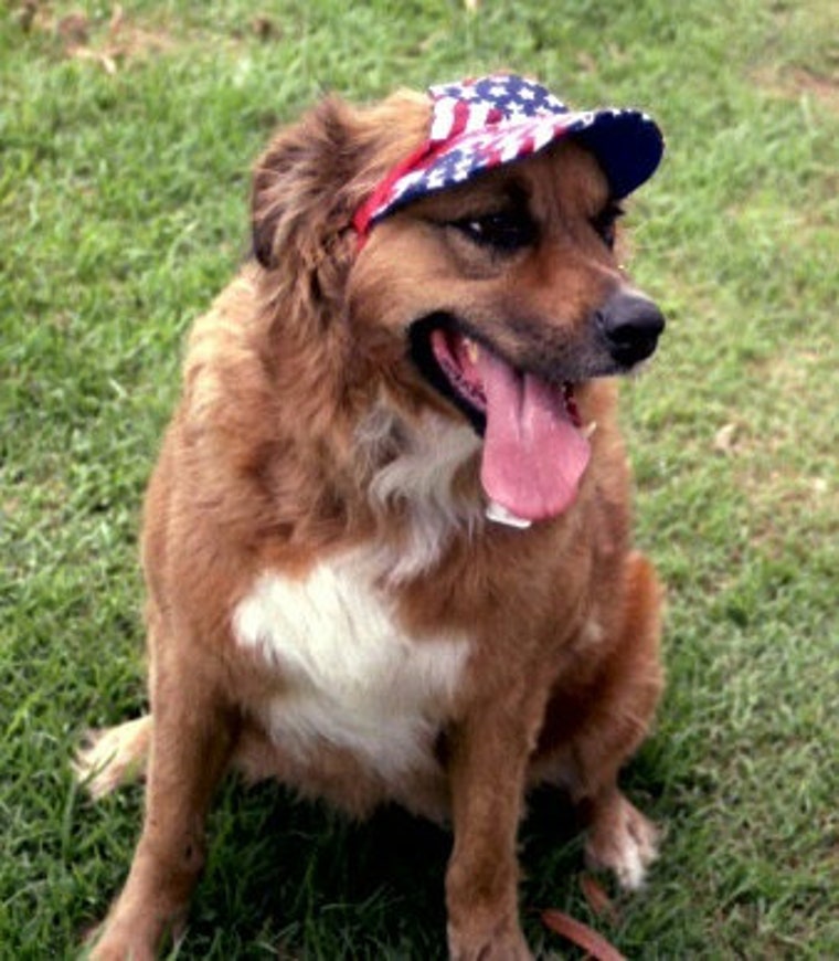 DoggySuperVisors - Etsy