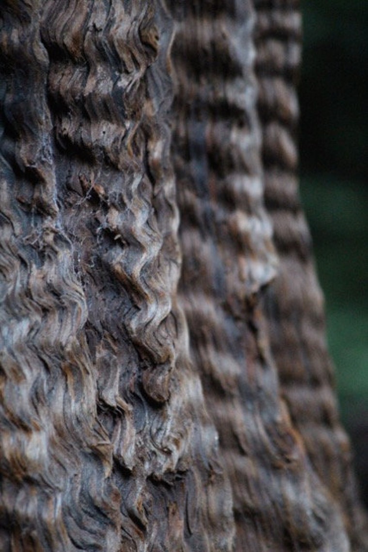 CarefreeArtJewelry (by Jeanne Anne Baughman) - Etsy