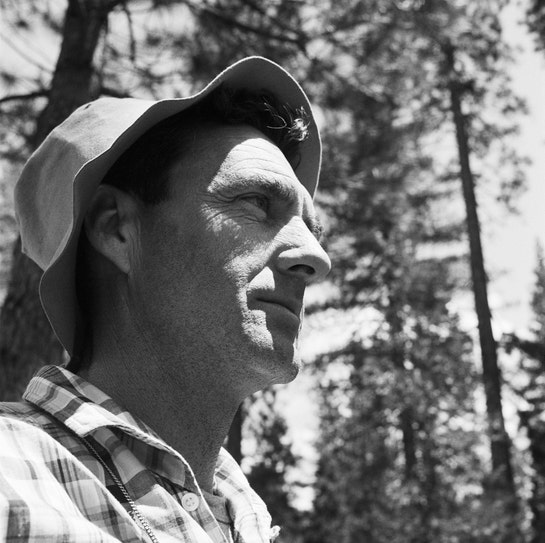 FlorabyGeorgeDesigns - Etsy