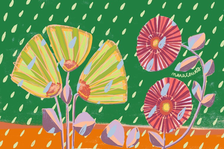 maracountsart - Etsy