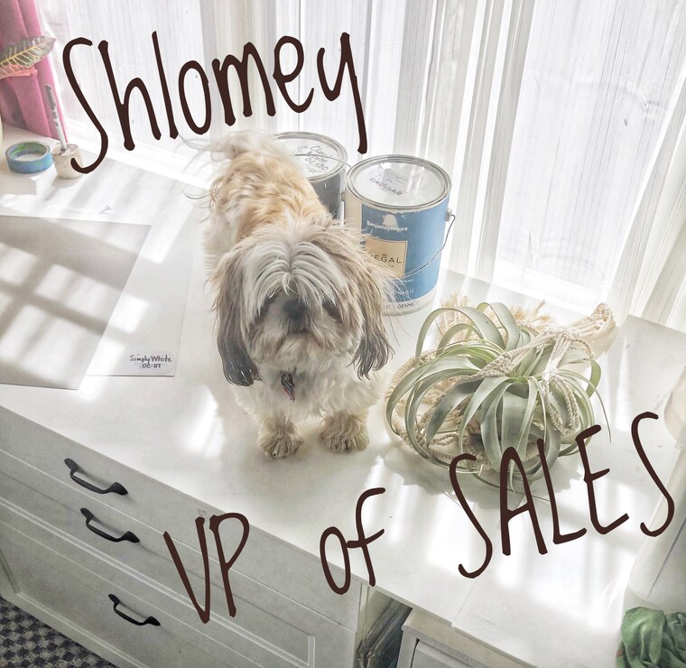 PaintedColorBoards (by lisa jenkins color) - Etsy