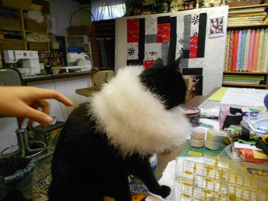 PatchworkPassionShop - Etsy