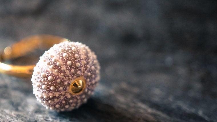 StillLifeJewel - Etsy