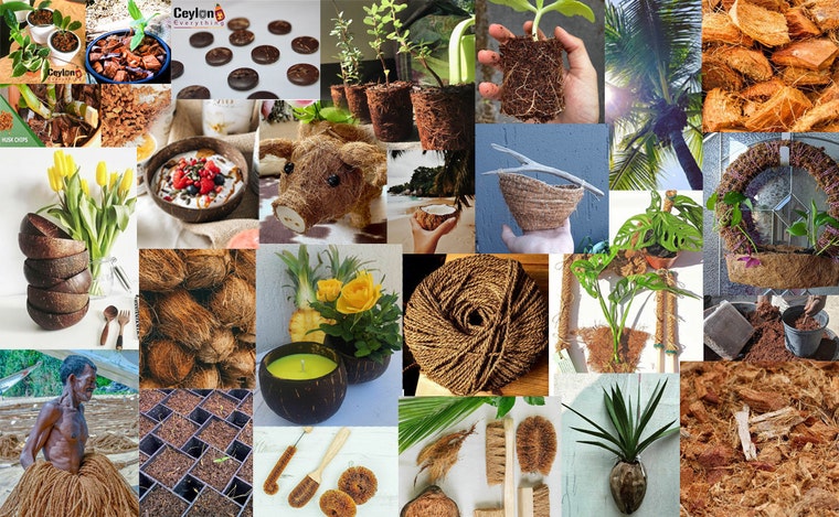 CeylonEverything - Etsy