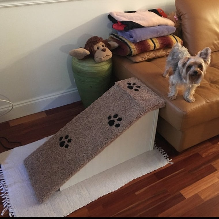 HamptonBayPetSteps - Etsy