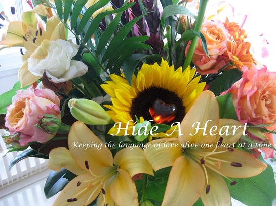 HideaHeart - Etsy