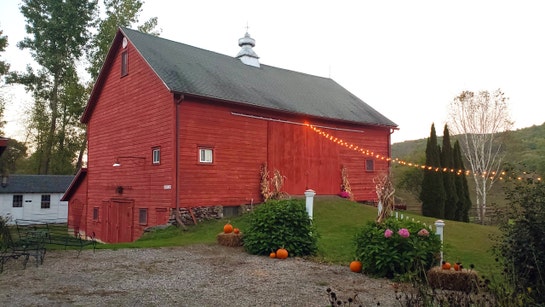 WickedFinchFarm - Etsy