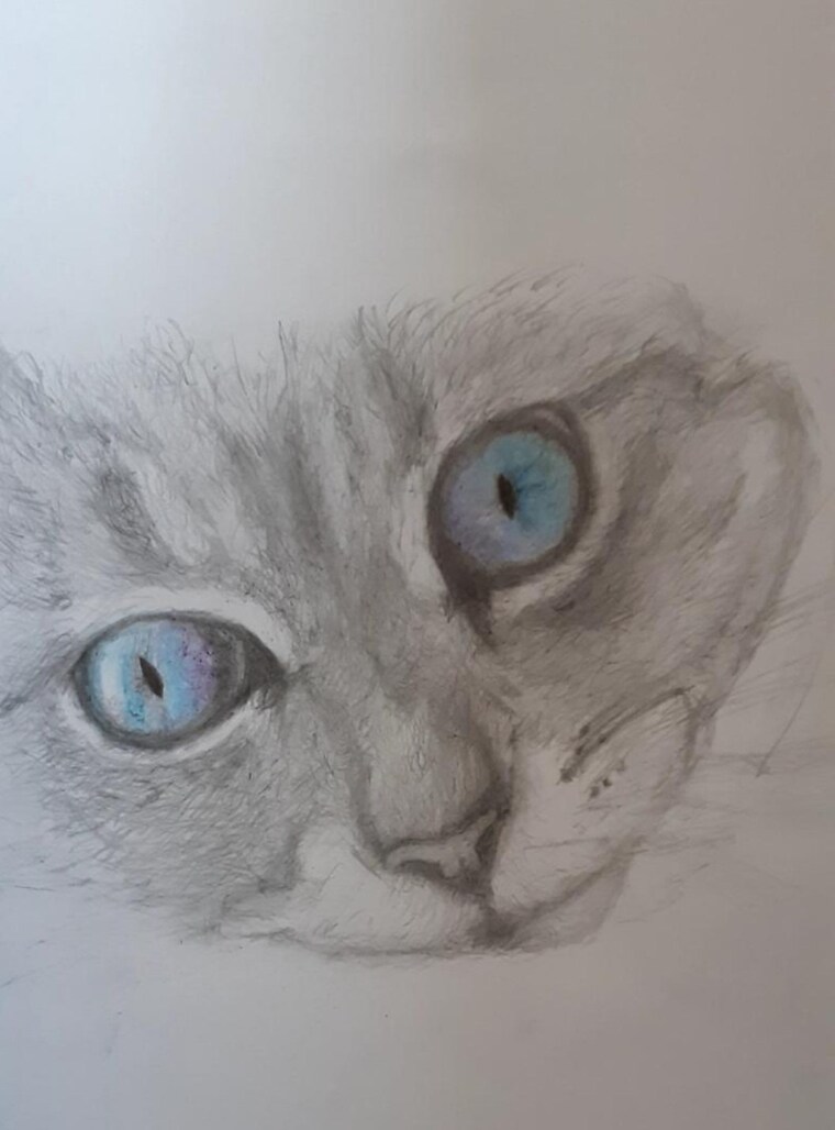 Ilovedrawingshop - Etsy Ireland