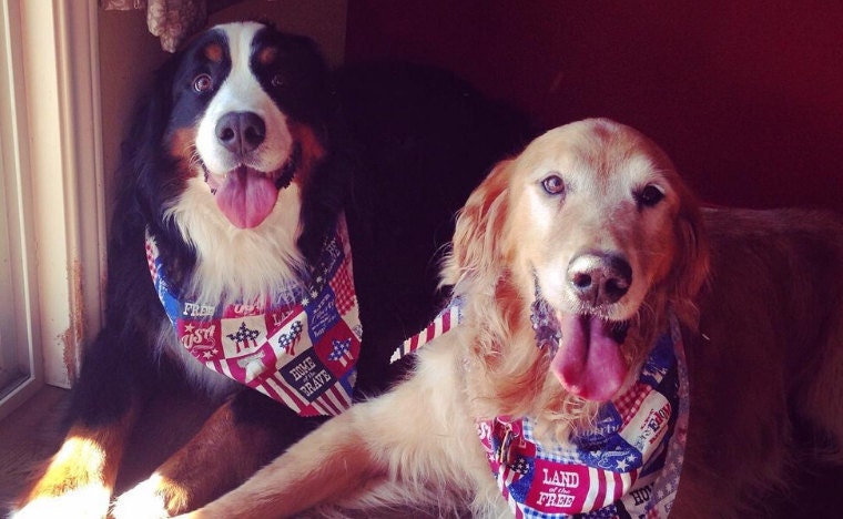 BigDogDesignCo - Etsy