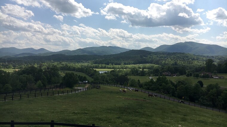 BlueRidgeRevivals - Etsy