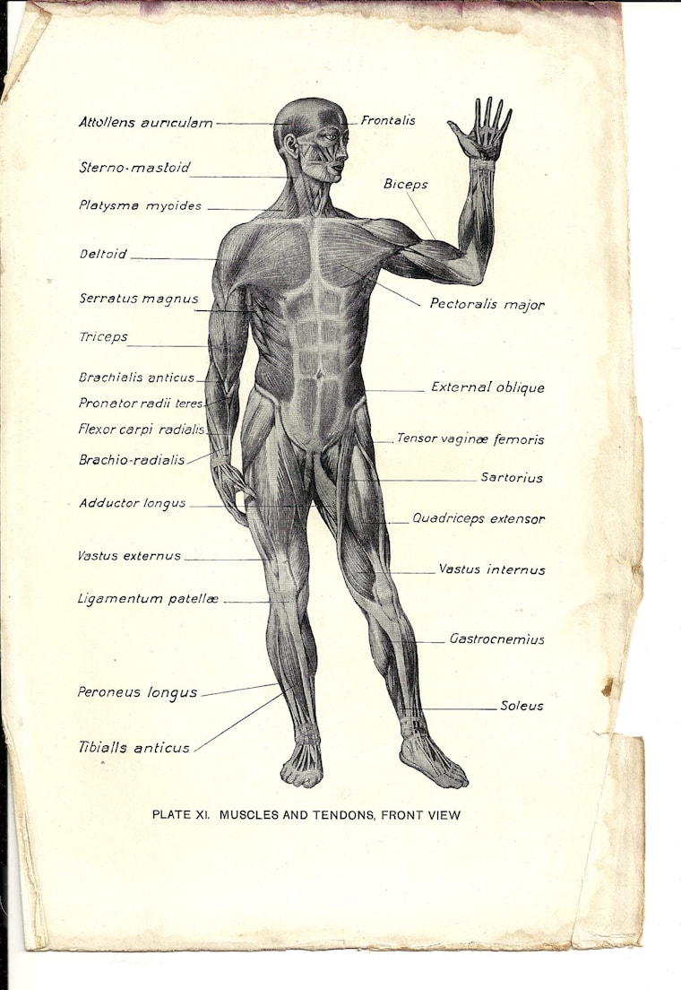 VintagePicturePlates - Etsy