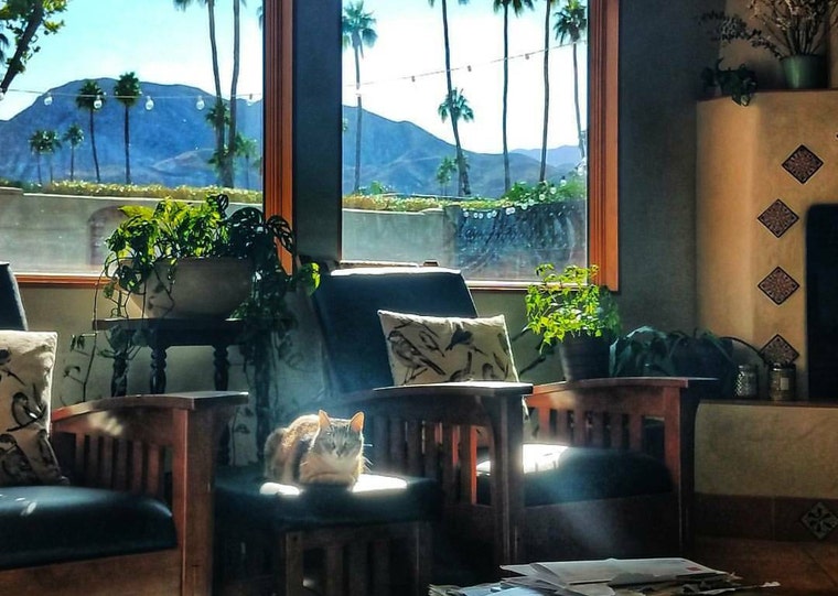 TheRanchoHomestead - Etsy