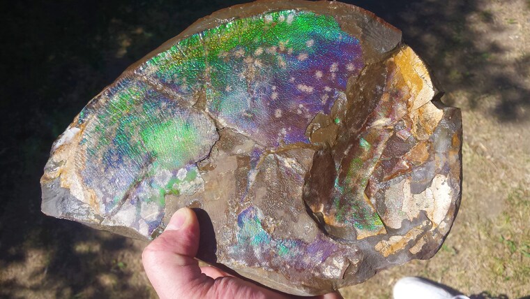 CalgaryRocks - Etsy Canada