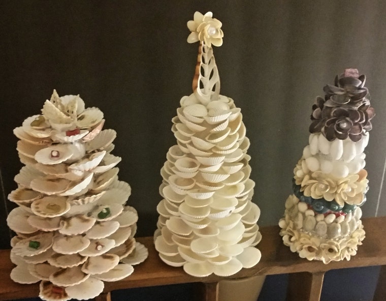 TwoSisterSeaShell - Etsy