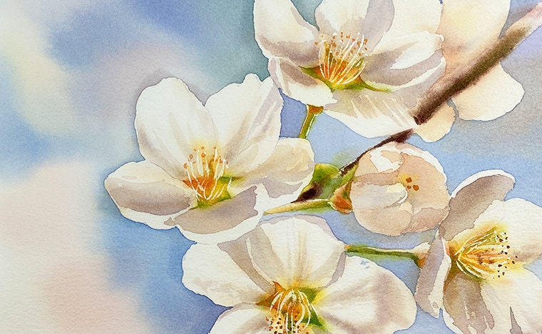 mariawatercolors - Etsy