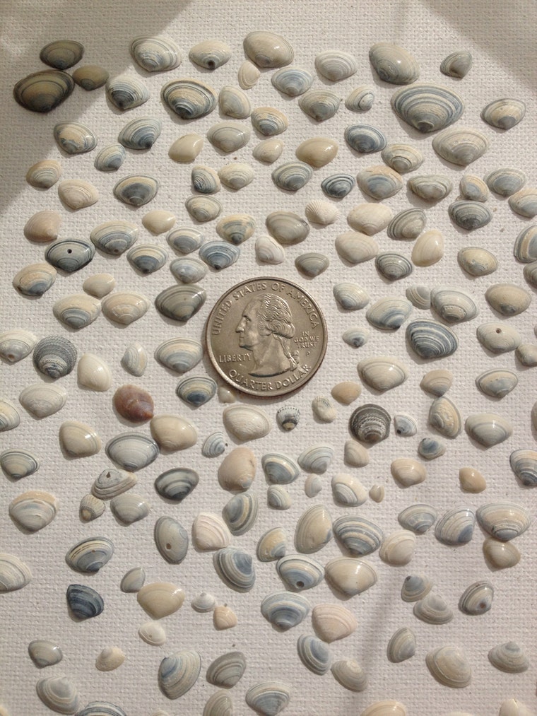 apieceofthebeach4u - Etsy