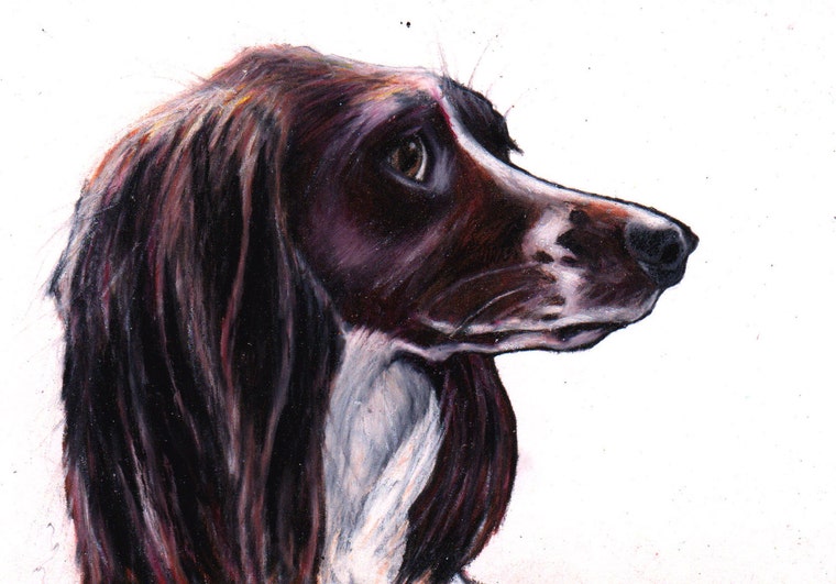 JimGriffithsArt - Etsy