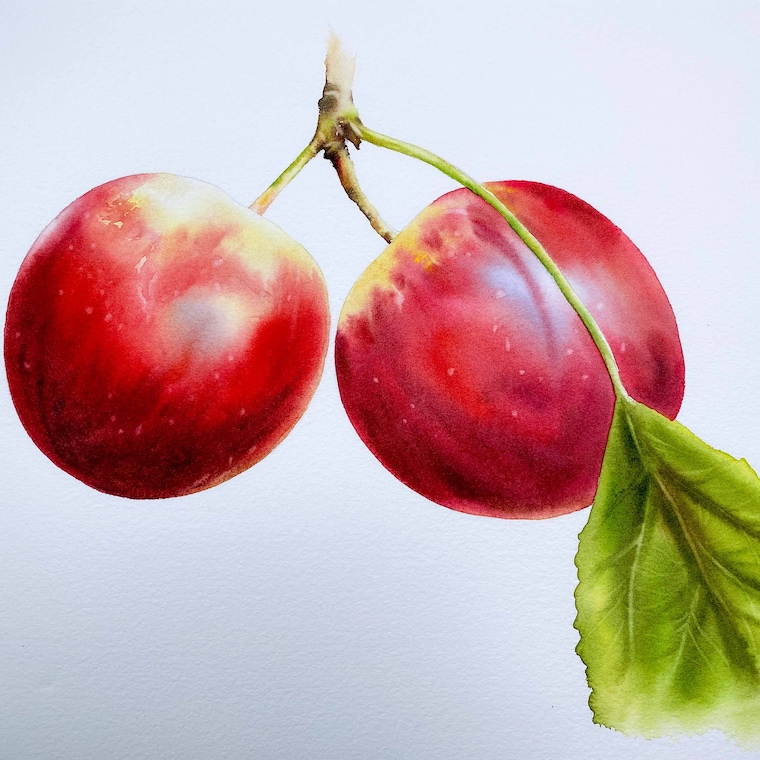 mariawatercolors - Etsy
