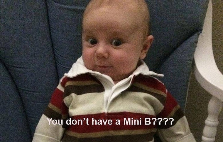 TheMiniB - Etsy
