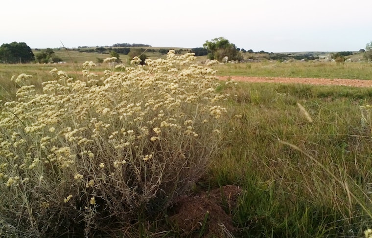 TexturableDecor - Etsy