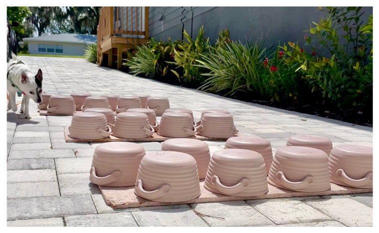 nealpottery - Etsy