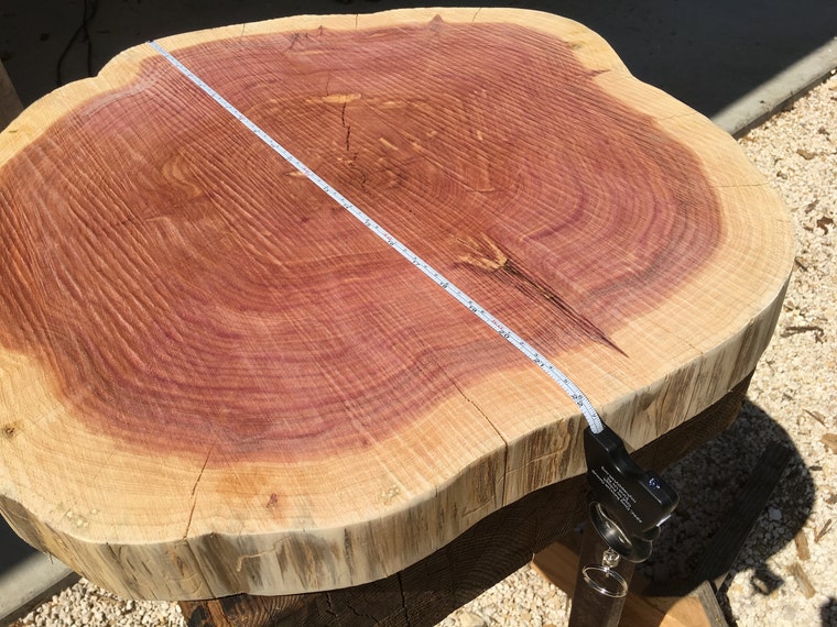 tricia16designs - Etsy