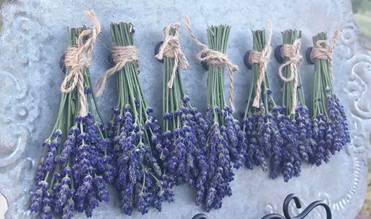 Lavenderfriends - Etsy