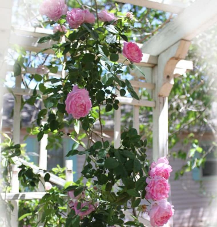 PaperNosh - Wedding Invitations|whimsical Stationery| Custom Design - Etsy