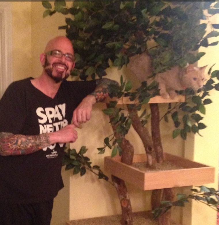 PetTreeHouses - Etsy