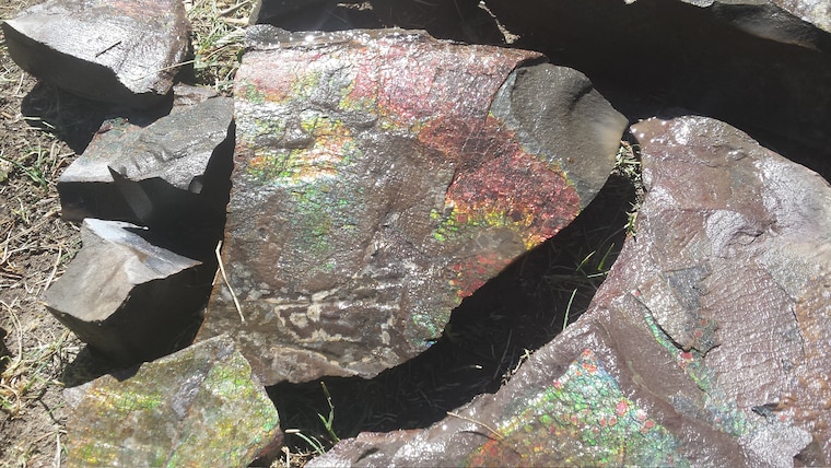 CalgaryRocks - Etsy Canada