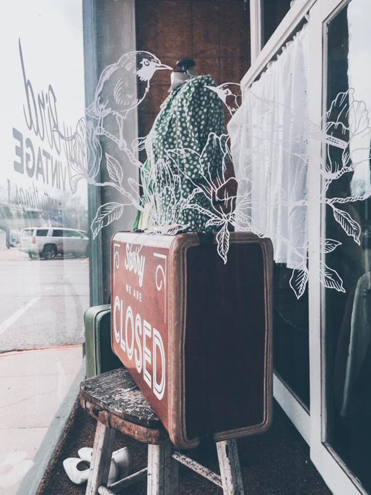 BossyBirdVintage - Etsy