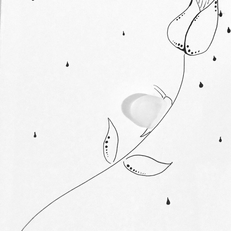 BackBayDesignsCo - Etsy