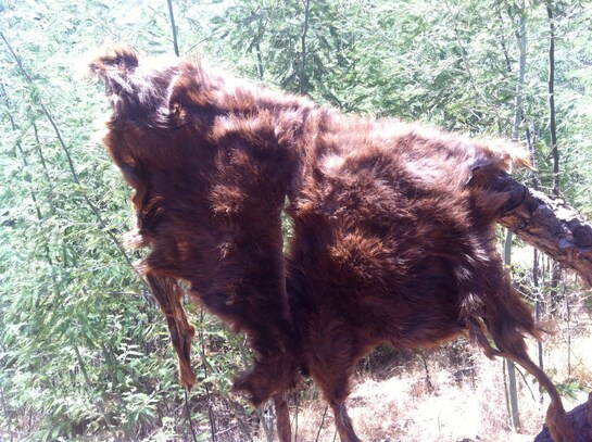 ArtisticExpressionsJ - Etsy