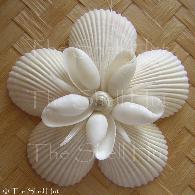shellhut - Etsy