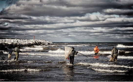 Ktiss - Etsy Australia