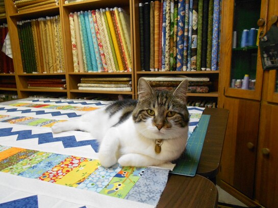 PatchworkPassionShop - Etsy